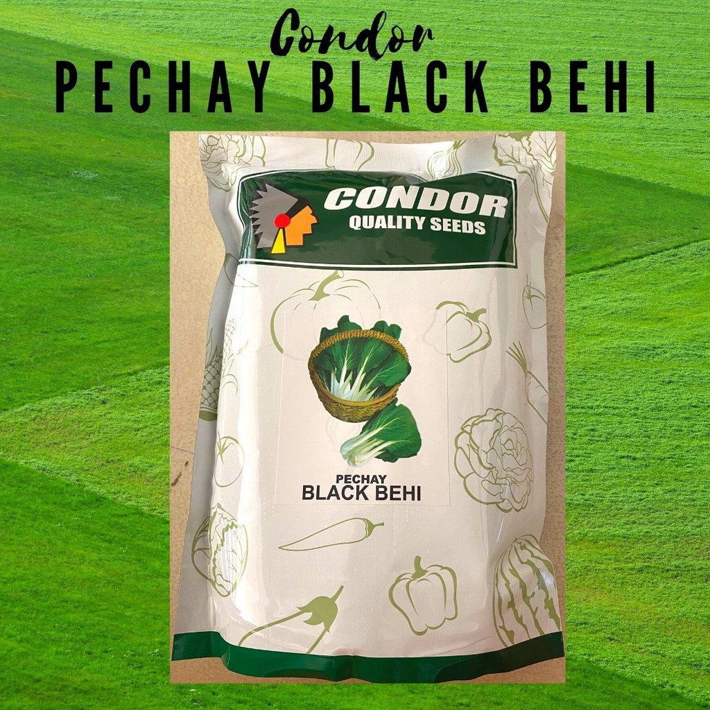 Condor PECHAY Black Behi Kilo Vegetable Seed 1Kg | Shopee Philippines