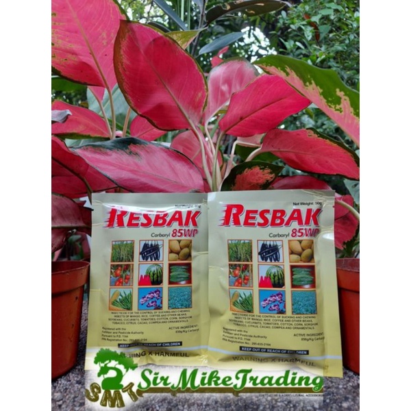 Resbak 85WP Carbaryl insecticide 50 grams (100% AUTHENTIC) | Shopee ...