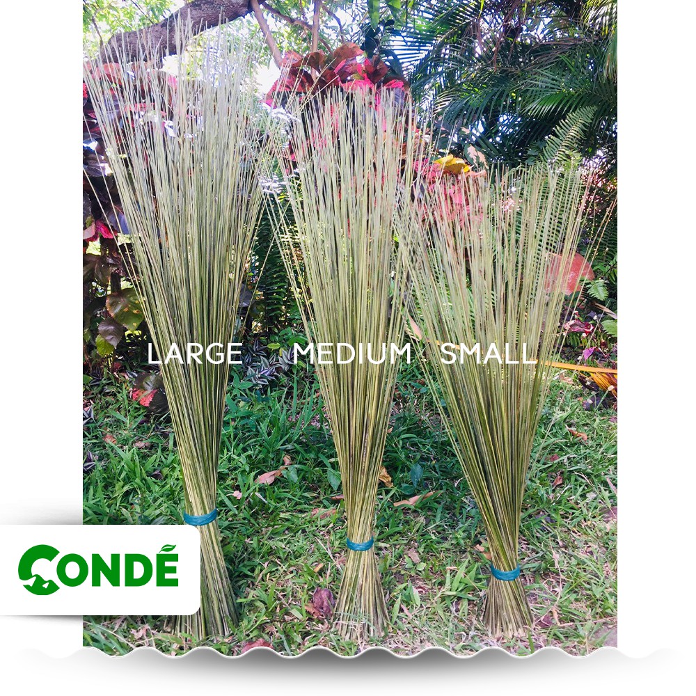 Walis tingting or broom sticks made of Kaong or Sugar Palm midribs ...