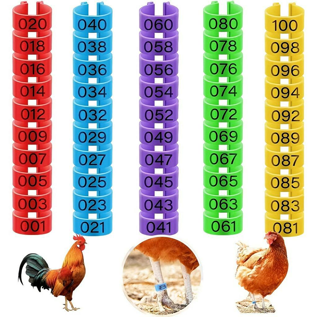 100pcs Chicken Leg Rings With 5 Colors, Chicken Leg Bands Colorful ...