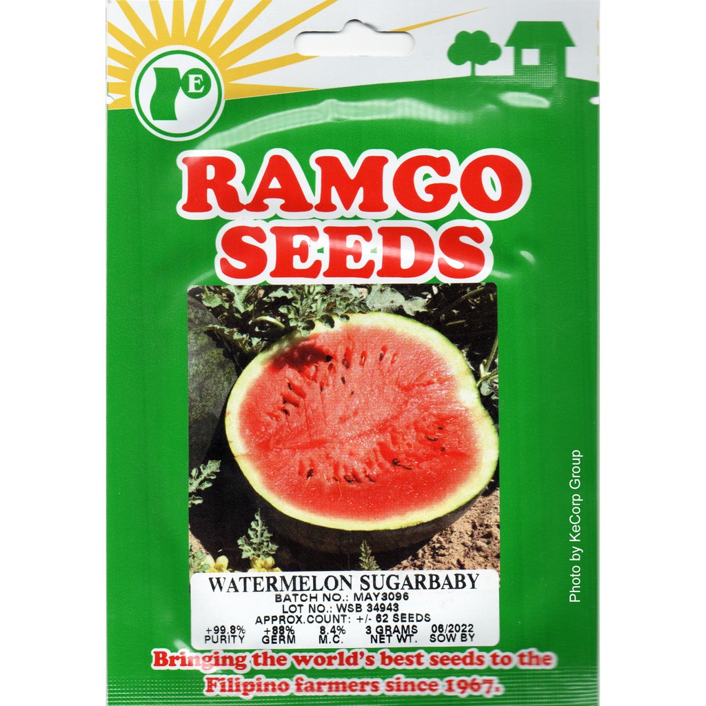 Ramgo Seeds - Sold per Pack per Variety KECORP_S1 | Shopee Philippines
