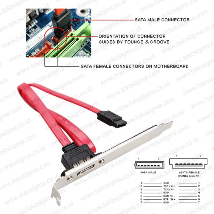 Sata to Esata Female Header Cable 1x E-Sata 7P External SATA PC Panel ...