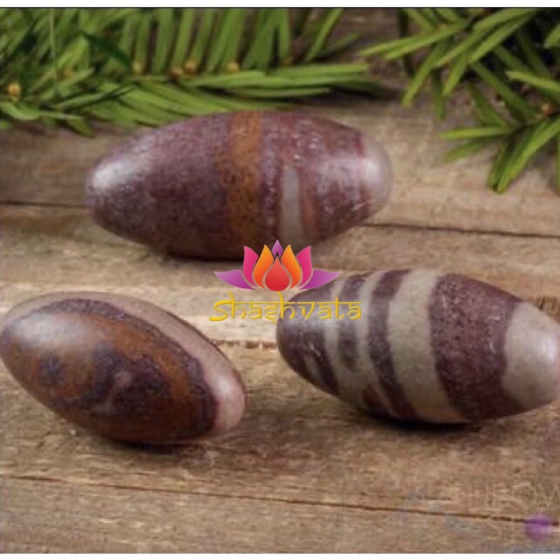 Shashvata Authentic SHIVA LINGAM Stone -Narmada Shivlingam/Banalingam ...