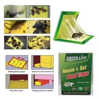 pandikit - Best Prices and Online Promos - Aug 2024 | Shopee Philippines