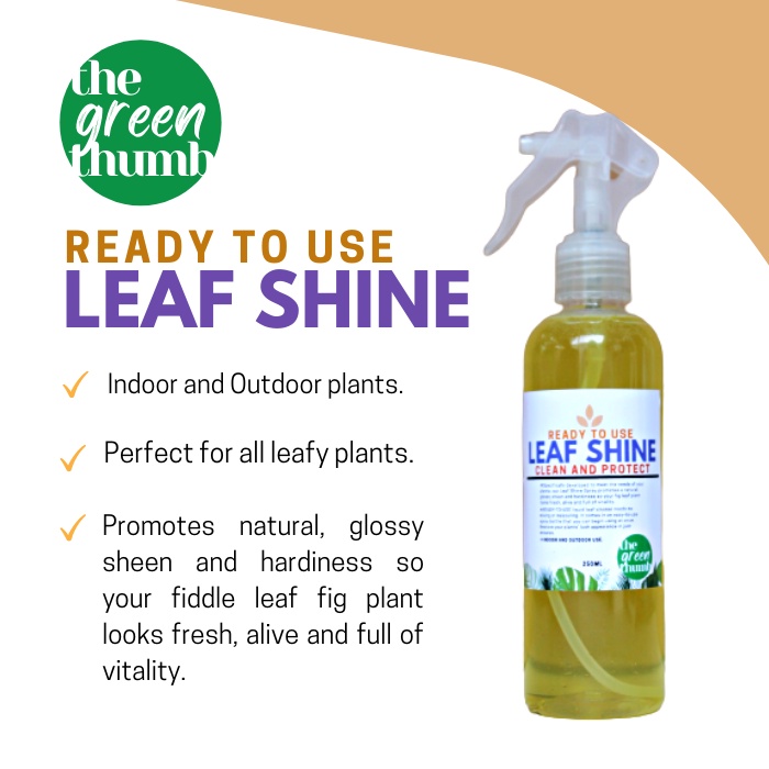 The Green Thumb (250ml READY TO USE) 100% Organic LEAF SHINE spray for ...