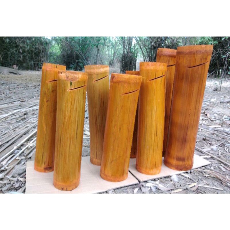 BAMBOO ALKANSYA COIN BANK | Shopee Philippines