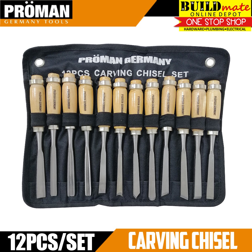 PROMAN 12PCS/SET Wood Carving Hand Chisel Tool Set Woodworking Carving ...