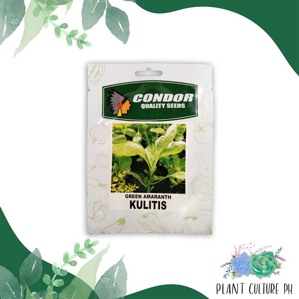 Condor Quality Seeds Green Amaranth 5G | Shopee Philippines