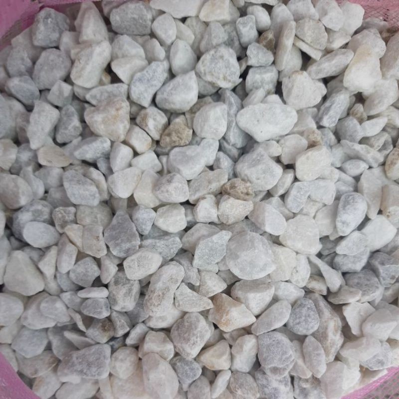 Peebles Stone for Garden & Aquarium | Shopee Philippines