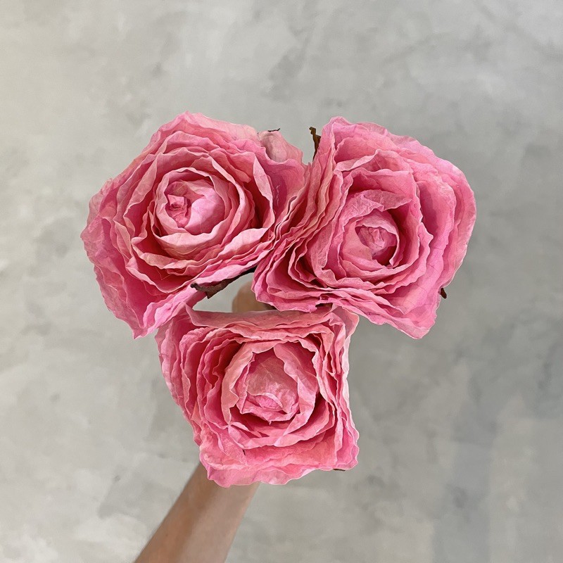 Fossilized/Dried Rose Flower (3 stems) | Shopee Philippines