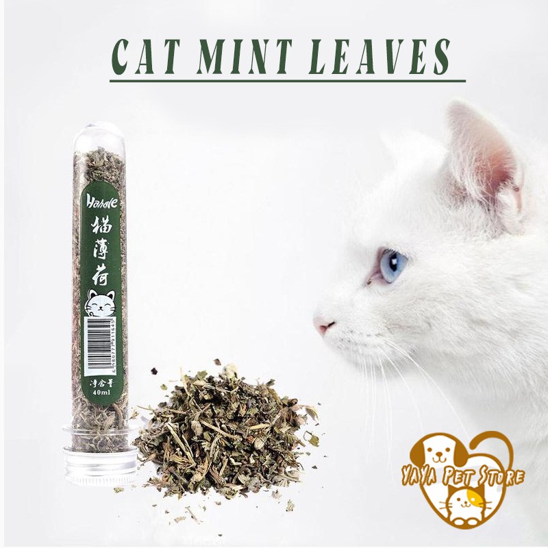 Organic Natural Premium Catnip Cattle Grass 20g/30g Menthol Flavor ...