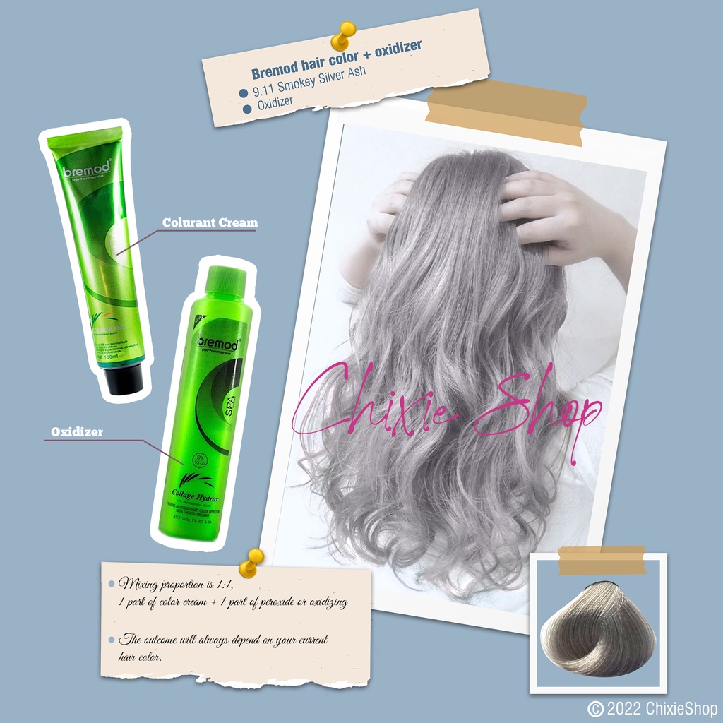 Smokey Silver Ash Bremod Hair Color (9.11) | Shopee Philippines