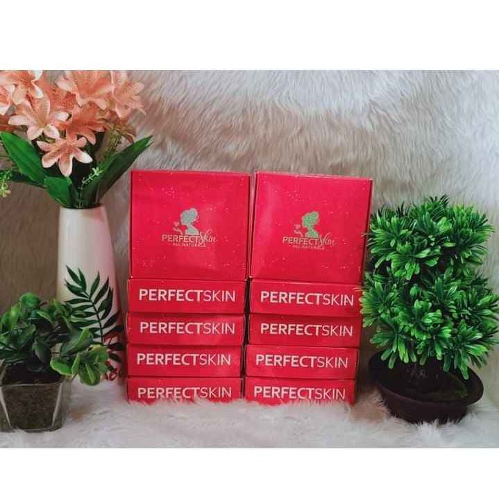 Authentic Perfect Skin Rejuvenating Set | Shopee Philippines