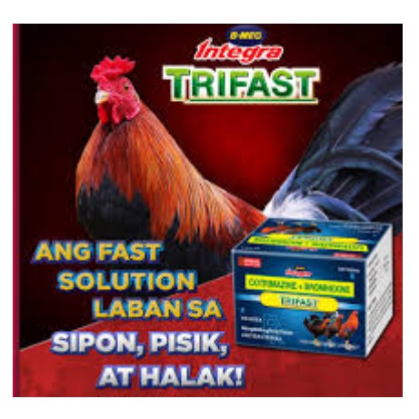 TRIFAST TABLET BY B-MEG INTEGRA (SOLD BY 10) | Shopee Philippines
