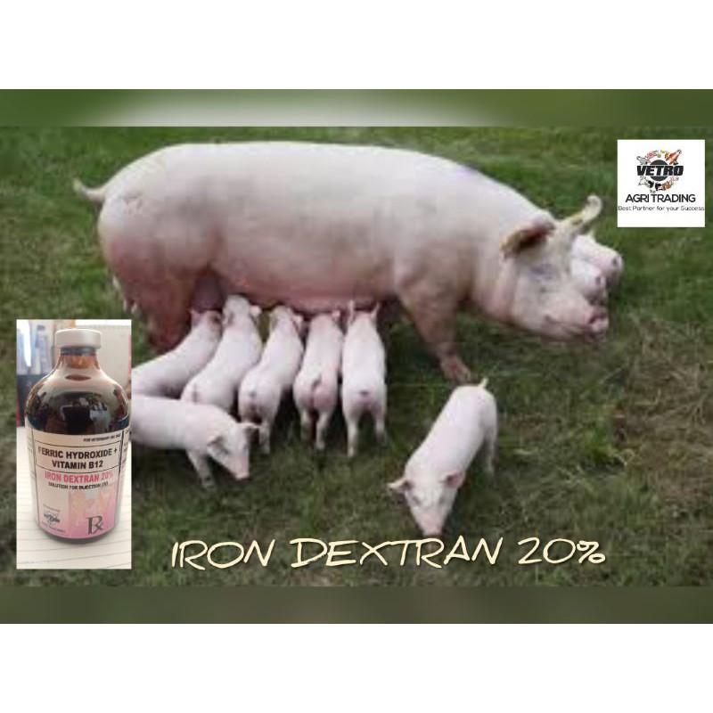 POWER Iron Dextran 20% + Vitamin B12! 100ML/ For Animals/ ( Tipid ka ...