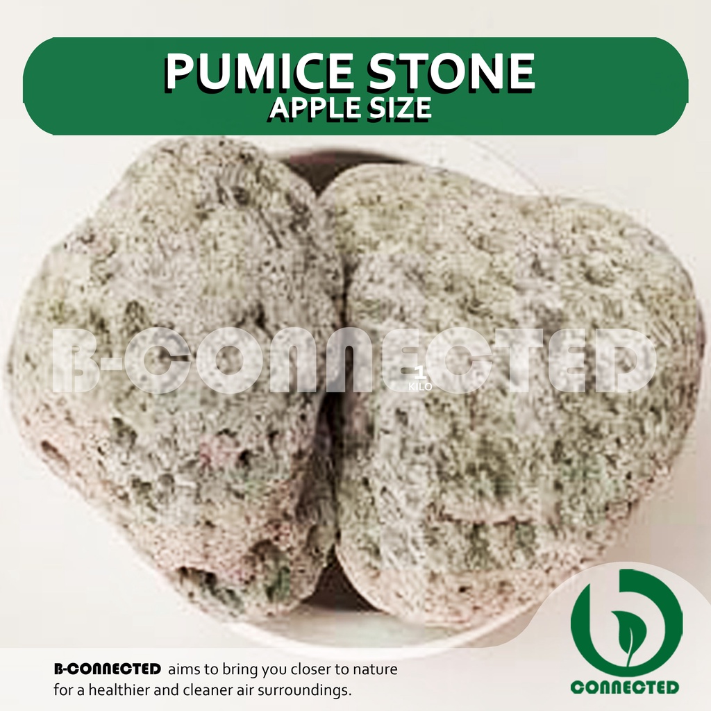 PUMICE STONE BIG SIZE 1 KILO - GROWING MEDIA / AQUARIUM STONE ...