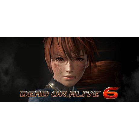 Windows Dead or alive 6 PC/ Laptop DVD installer | Shopee Philippines
