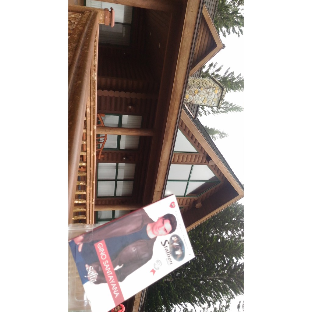 Stallion Series by Sonia Francesca and Sofia | Stallion Boys | Stallion ...