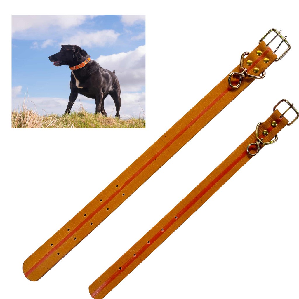 Adjustable Heavy Duty Safety Pet Dog Collar Dog Belt MEETYOU | Shopee ...