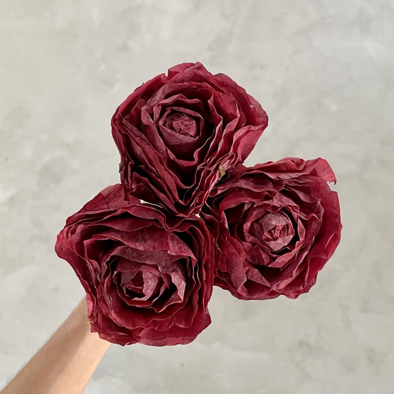 Fossilized/Dried Rose Flower (6 or 12 stems) | Shopee Philippines