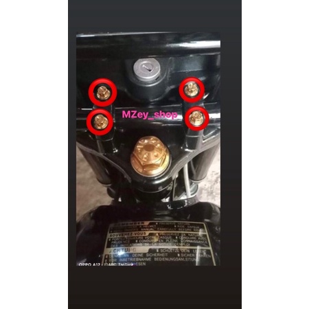 GOLD/SILVER. TMX/RUSI butterfly bolt set(4pcs) | Shopee Philippines