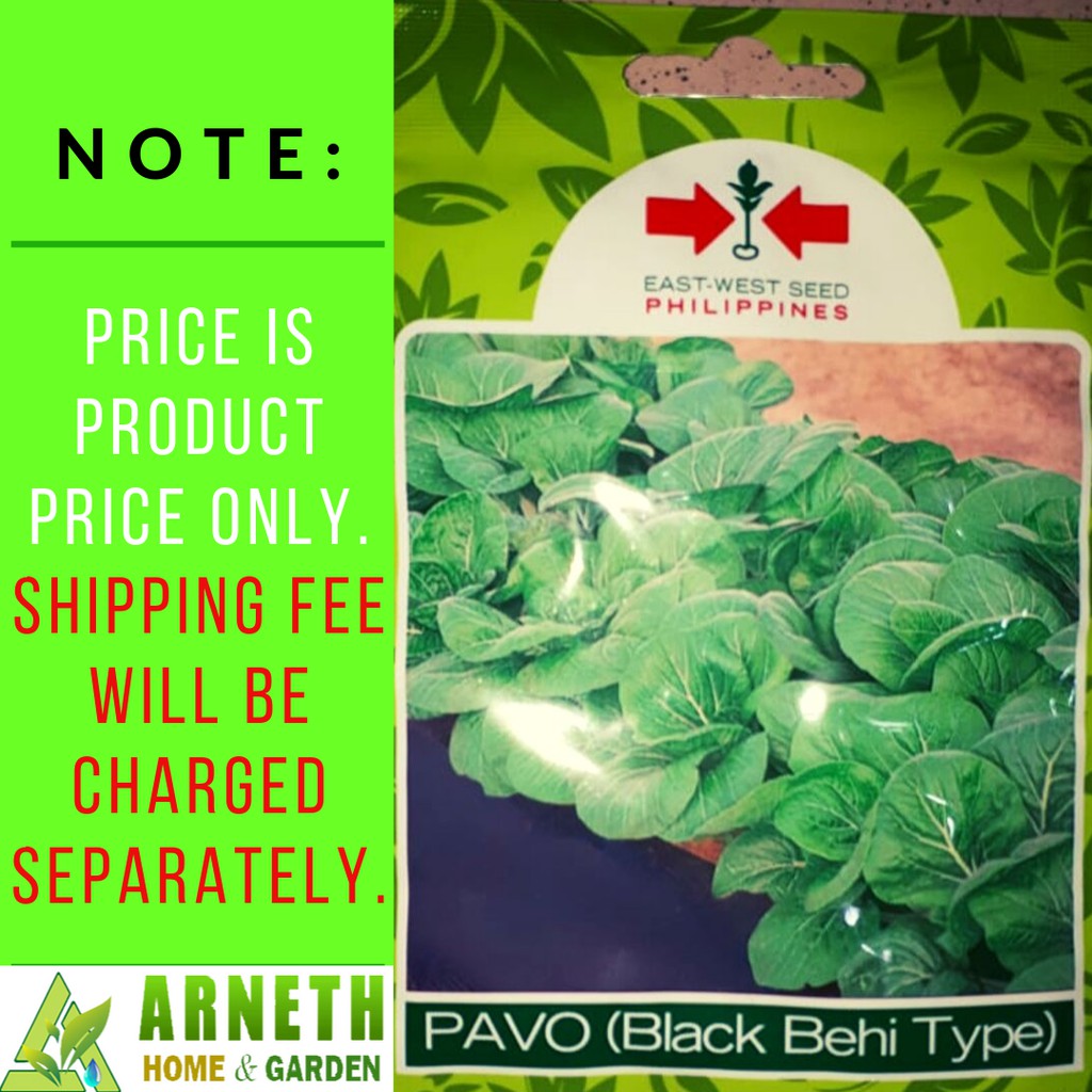 PAVO TYPE PECHAY SEEDS | Shopee Philippines