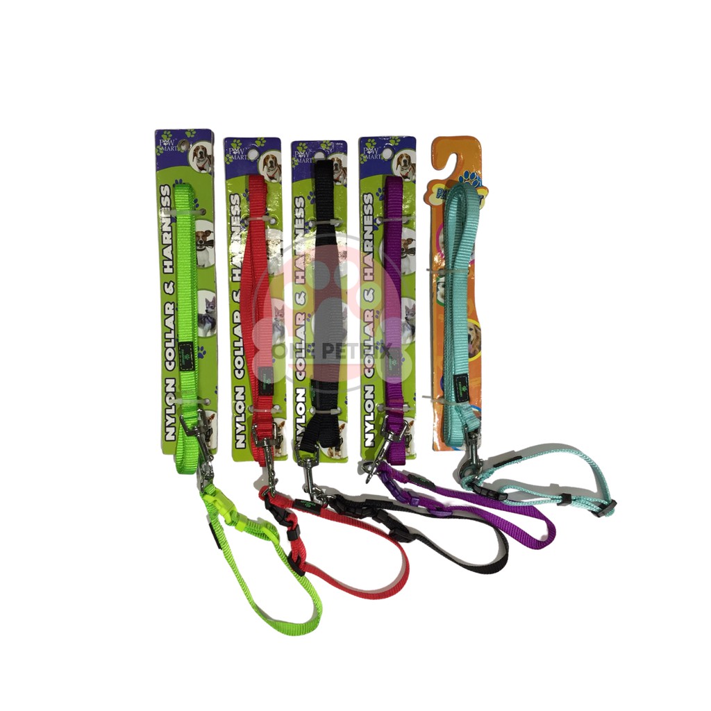 Paw Smart Dog Collar (Small) | Shopee Philippines