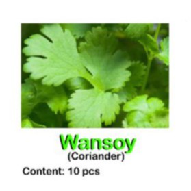 Herbs Seeds Sweet Basil Kintsay Celery Parsley Wansoy Chives Peppermint ...
