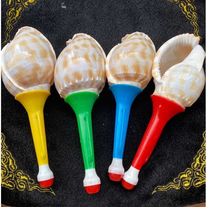 1 Piece Of Horn Shell Loud Sound Real For Blowing | Shopee Philippines