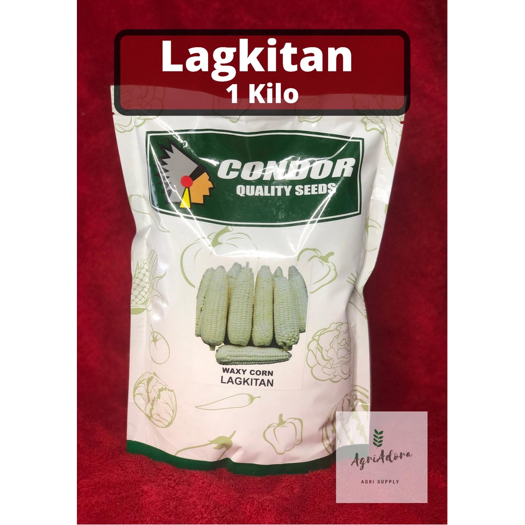 Lagkitan Corn 1 Kilo White Waxy Corn (Condor Quality Seeds) | Shopee ...