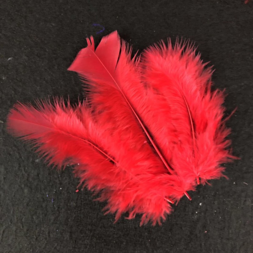 100pcs Natural Feathers Decor Small Floating Colorful Feather Plume ...