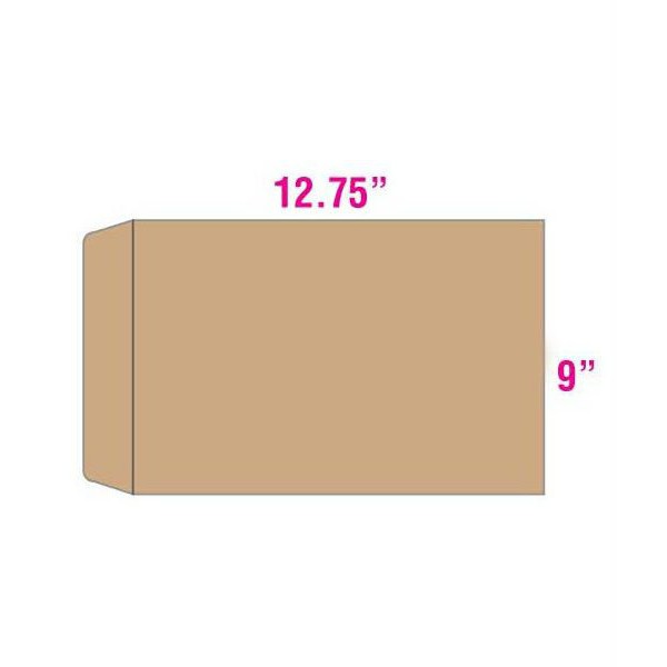 A4 Brown Envelope 9” X 12.75” (250’s/BOX) Sampul Surat Brown | Shopee ...