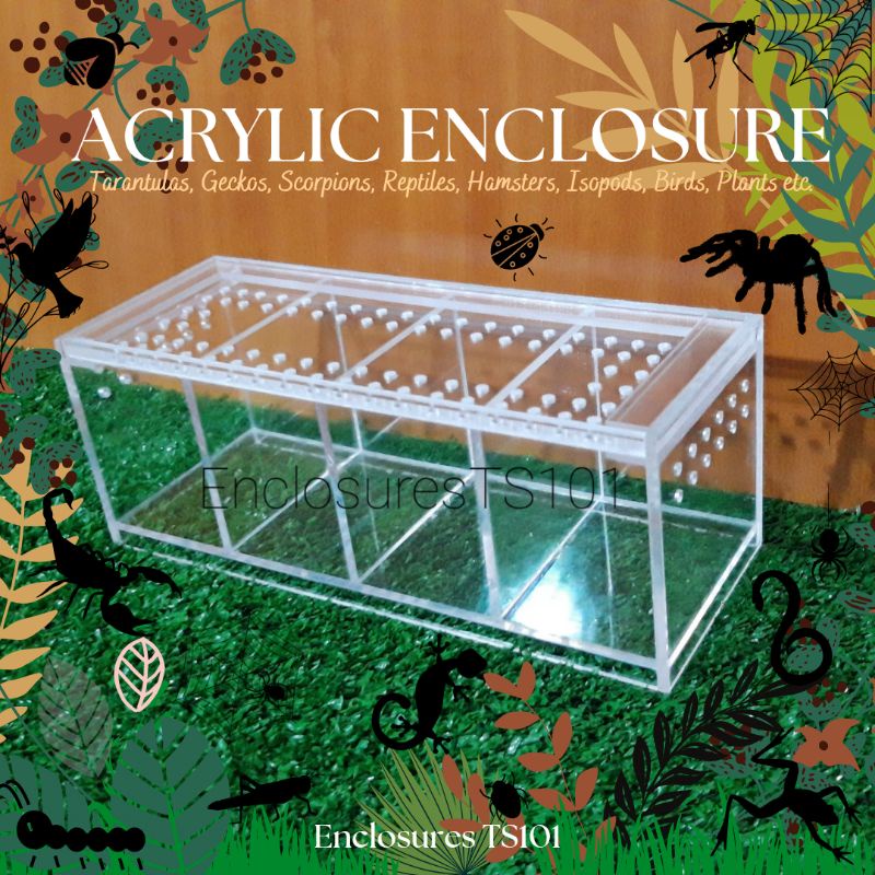 Acrylic Enclosure 8x3 4-slot for Tarantula, Scorpion, Reptiles, Isopods ...