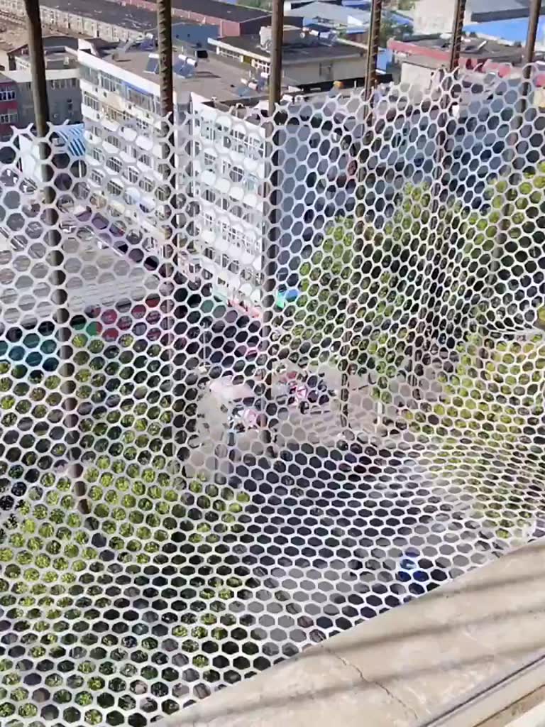 Plastic Mesh Window Mesh Door Mesh Pet Mesh Anti-Cat Fall-Proof ...