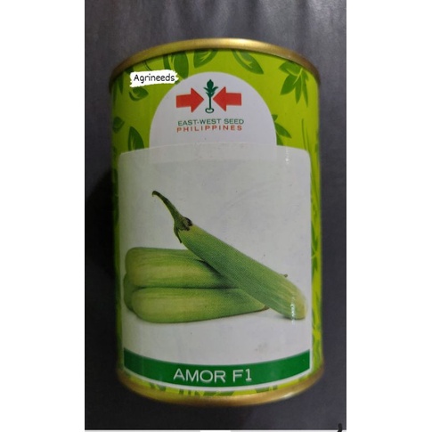 Amor F1 (50 grams) Hybrid Long green Eggplant / Talong by East West ...