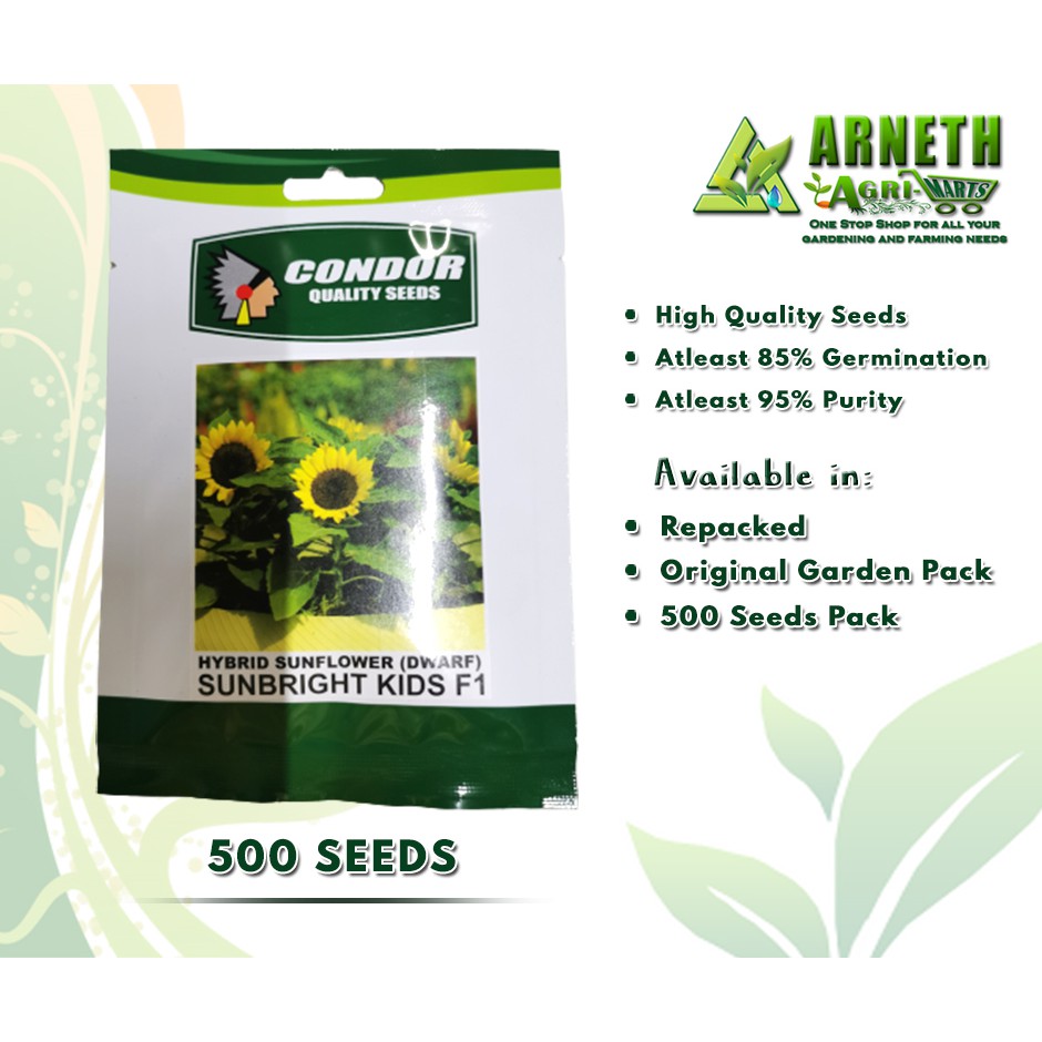 CONDOR SUNBRIGHT KIDS F1 HYBRID SUNFLOWER (DWARF) (500 SEEDS) | Shopee ...