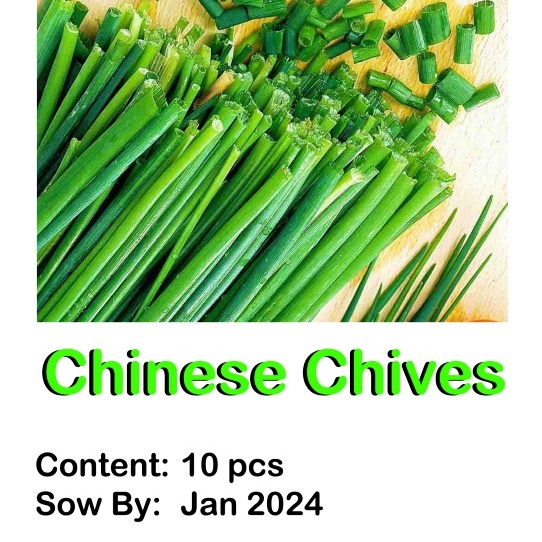 Herbs Seeds Sweet Basil Kintsay Celery Parsley Wansoy Chives Peppermint ...