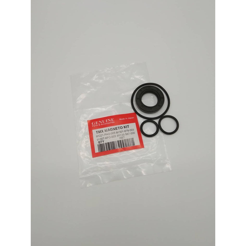 Motorcycle TMX Magneto Kit | Shopee Philippines