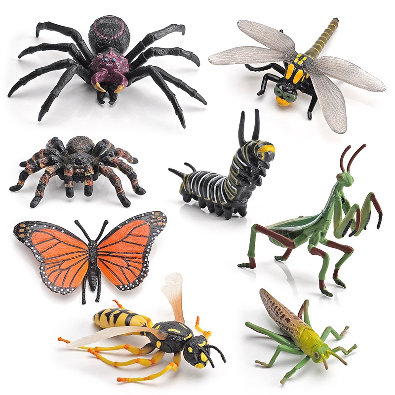 Simulation Insect Animal Series Butterfly Spider Small Model Early ...