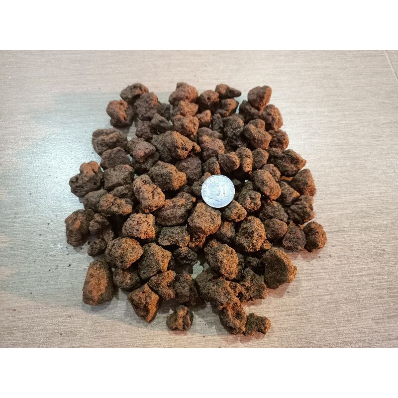 Lava Rock Filter Media 250g 500g 1kg for Pond and Aquarium | Shopee ...