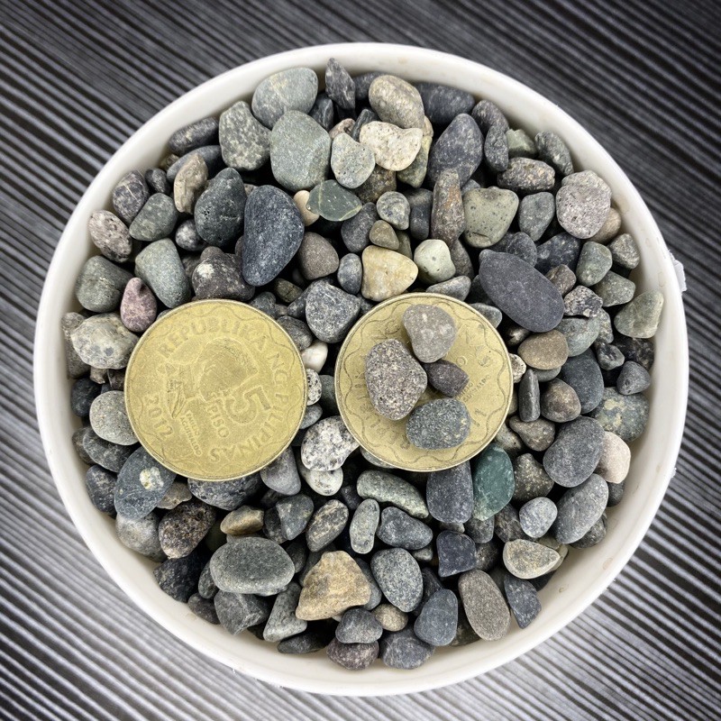 Pebbles Plants/Aquarium - Assorted, Black, Boracay, White Selected ...
