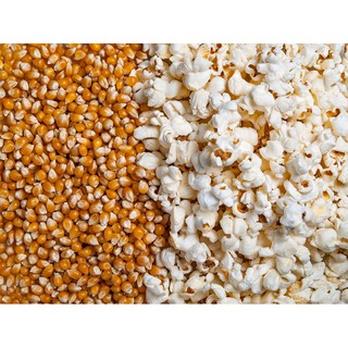 Popcorn 500 grams, 250 grams, 100 grams | Shopee Philippines