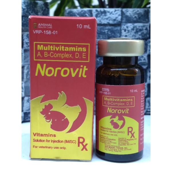 Norovit Multivitamins A,B-Complex,D,E | Shopee Philippines Norovit Multivitamins A,B-Complex,D,E | Shopee Philippines