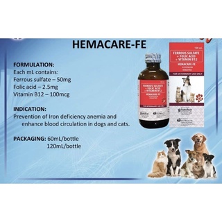 HEMACARE - FE SUSPENSION HEMATINIC 120ML( For Iron Deficiency)DOG ...