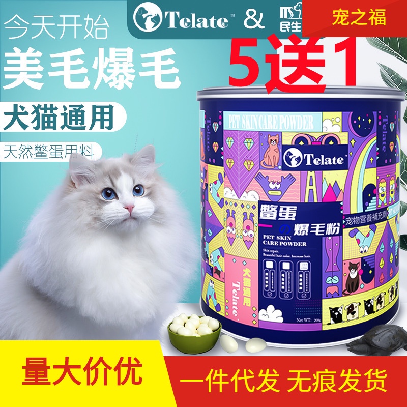 telateTurtle Egg Powder Turtle Egg Explosive Powder Dogs and Cats ...