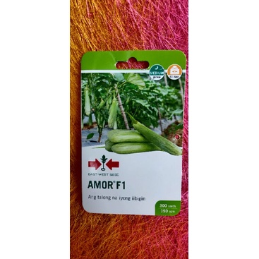 Eggplant seeds Green Eggplant seeds Hybrid Amor F1 sachet 300seeds East ...