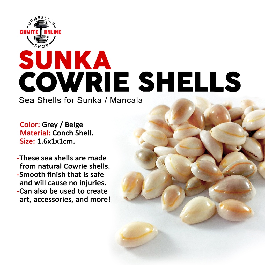 Sungka Shell/ Sigay/ Sea Shells/ Cowrie Shells | Shopee Philippines