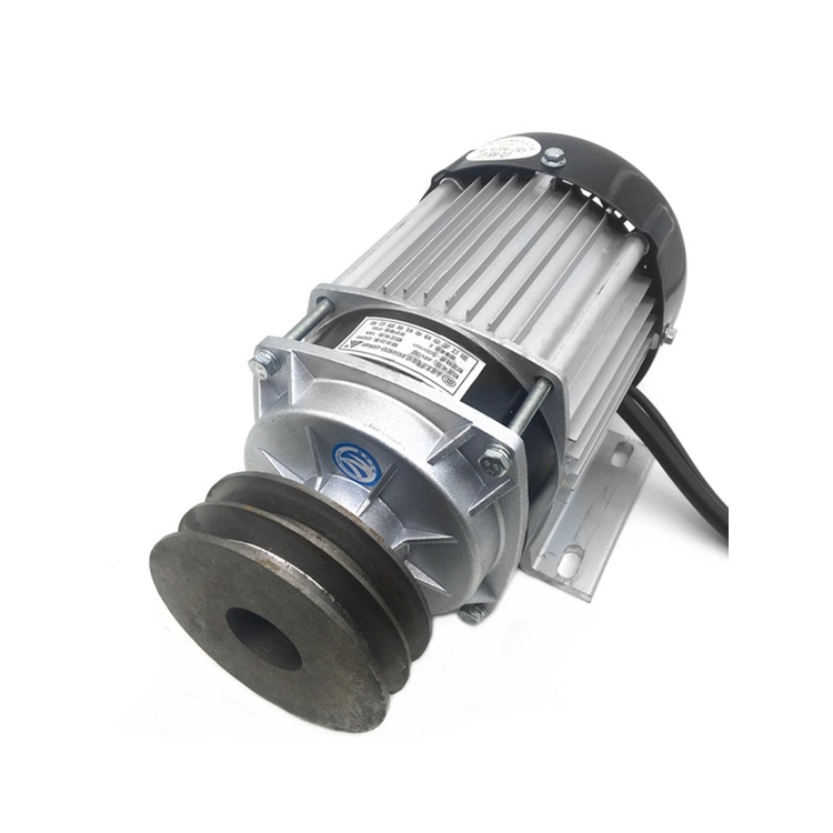 650w 750W Dc 48v 60V double belt pulley brushless motor, electric ...