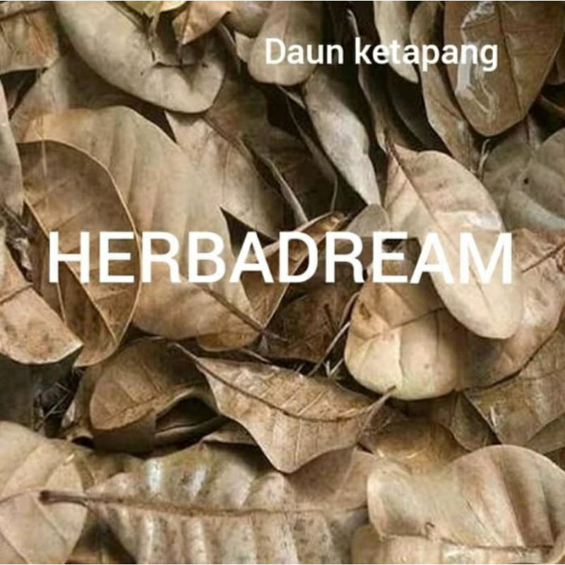 Ketapang Leaf Powder 50gram - Terminalia Catappa - Fine Powder - Pure ...
