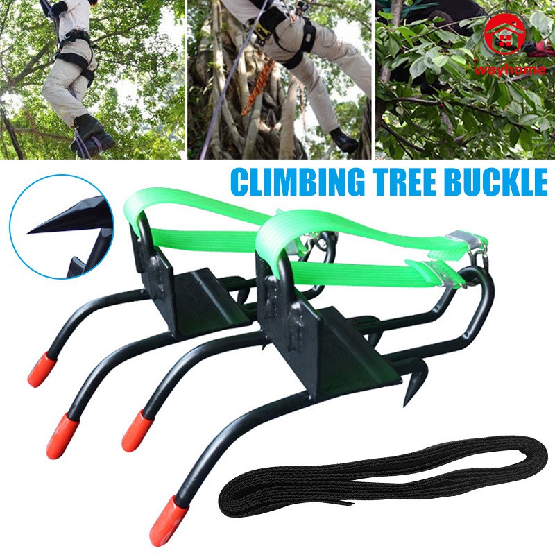Fruit Picking Pole TFCFL Tree Climbing Tool Adjustable Lanyard Tree ...